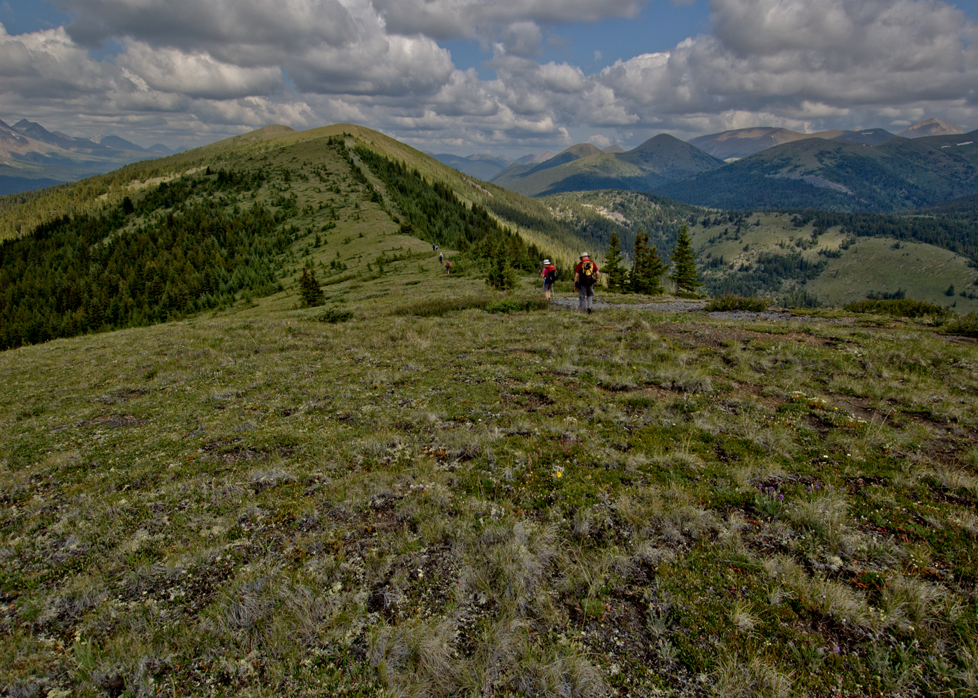 Willmore Wilderness Park Hiking