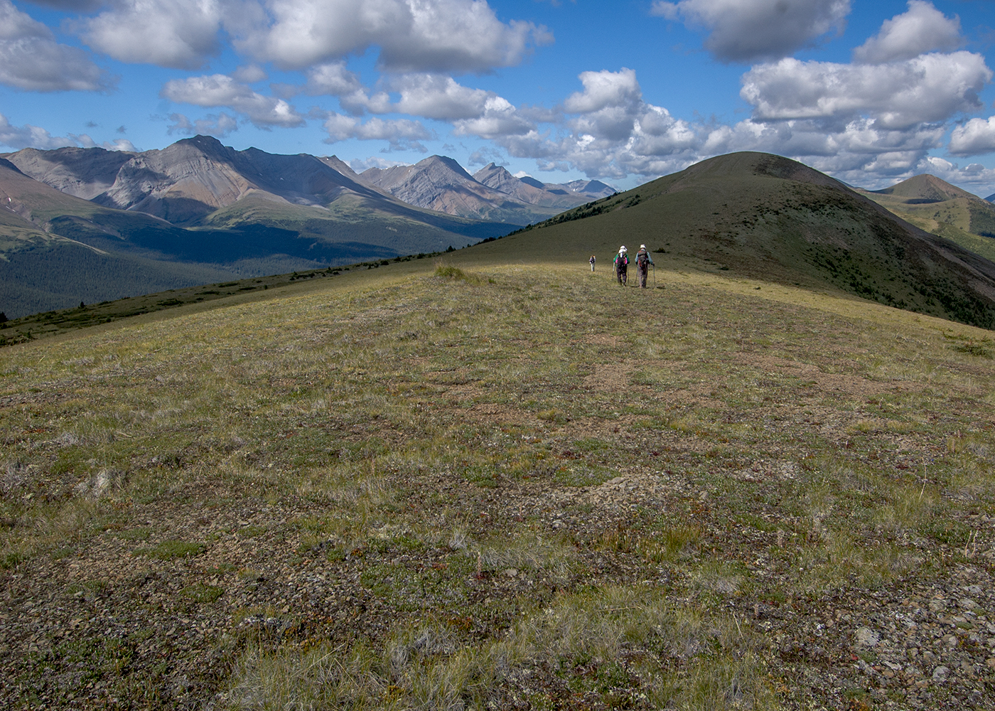 Willmore Wilderness Park Hiking